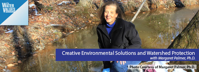 Creative Environmental Solutions and Watershed Protection - Bluefield ...